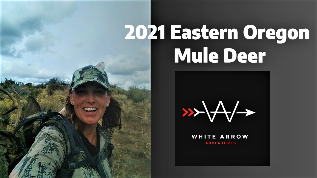 2021 Eastern Oregon Mule Deer. AMAZING. - YouTube
