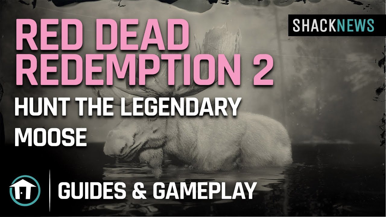 Red Dead Redemption 2 - How to Find and Hunt the Legendary Moose in Red ...