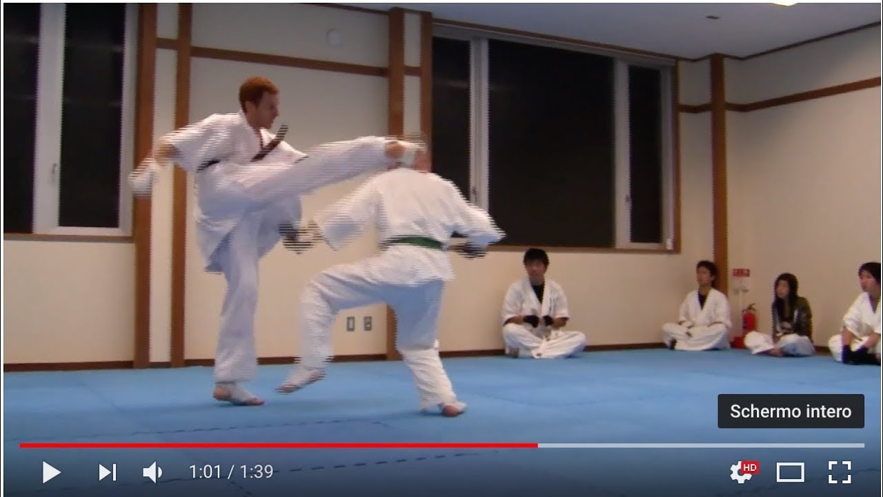 Shinseikai Karate Video Tutorial - Mawashi Geri Jodan - YouTube