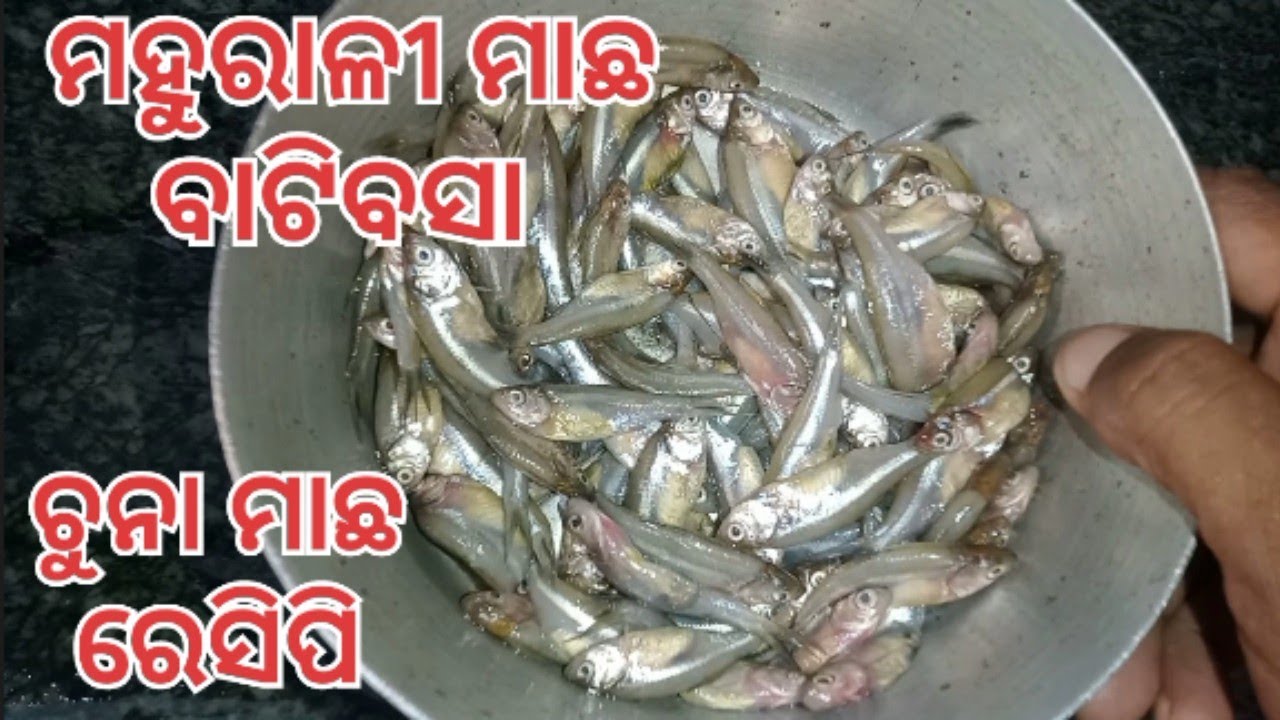 ମହୁରାଳୀ ମାଛ ବାଟିବସା/ଚୁନା ମାଛ ରେସିପି ‼️Mahurali machha batibasa recipe ...