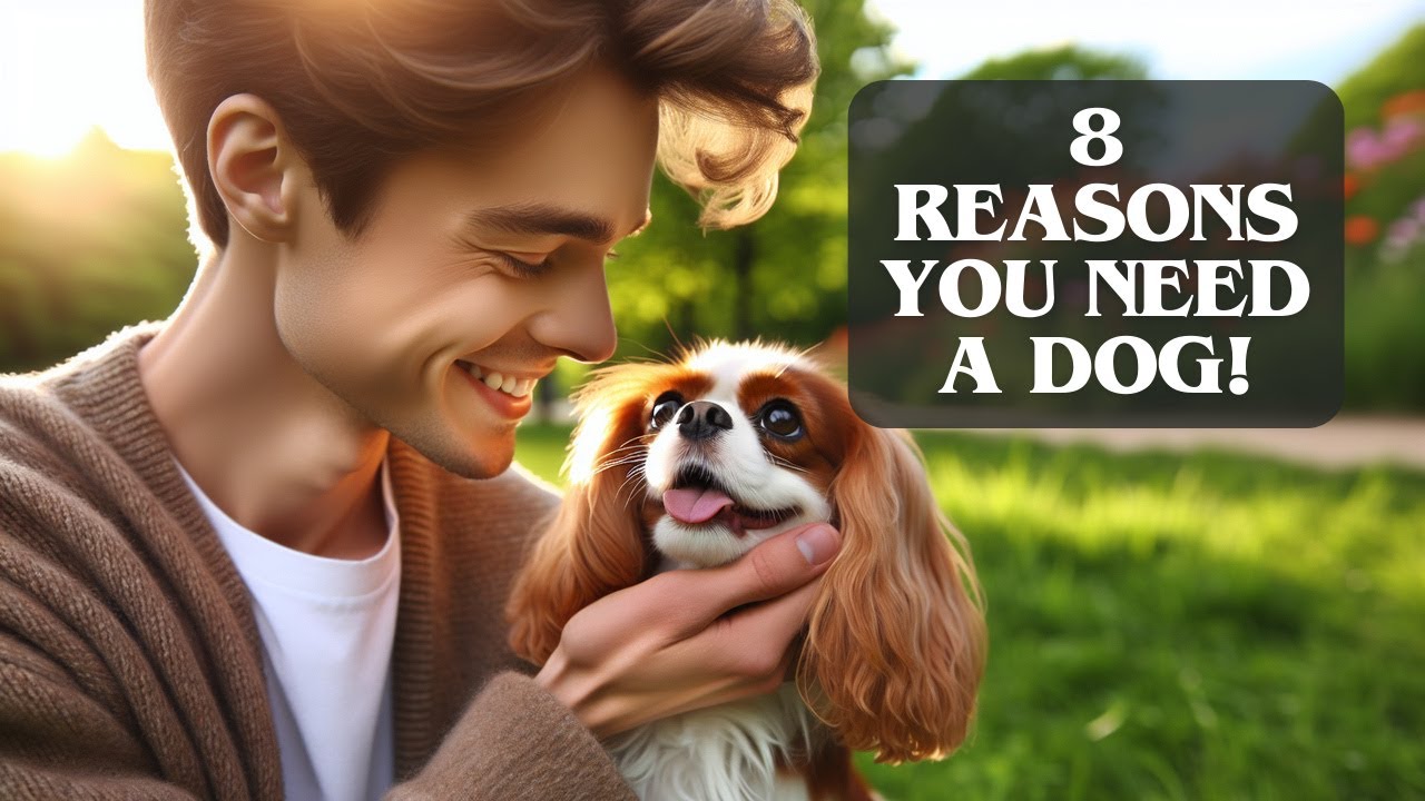8 Reasons You Need a Dog - YouTube