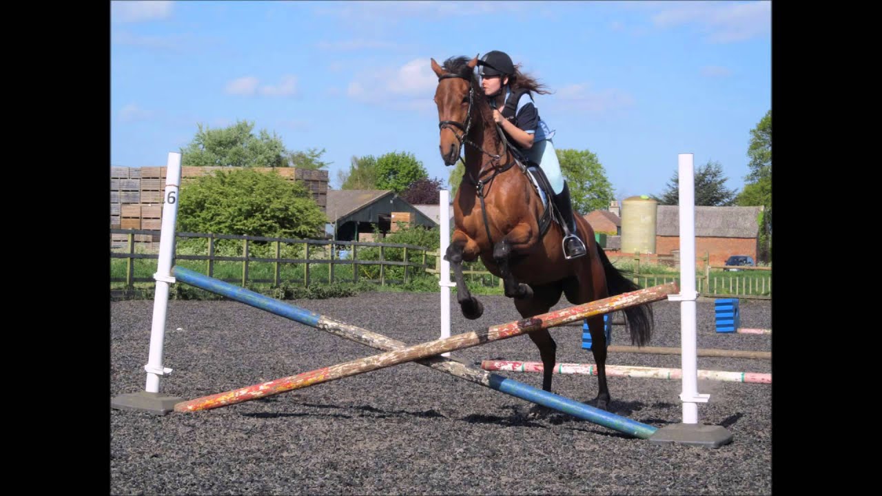 Saturday 3rd May 2014 Pony Club Lesson - YouTube
