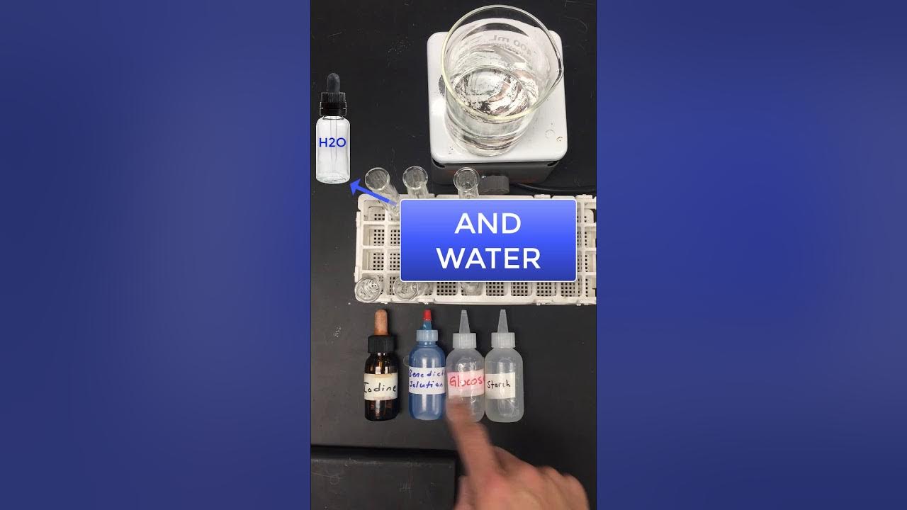 NYS REGENTS LAB: Diffusion Through A Membrane - YouTube