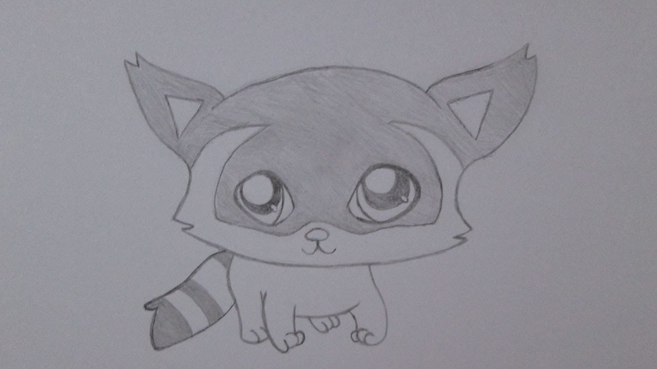 How to draw a raccoon - YouTube