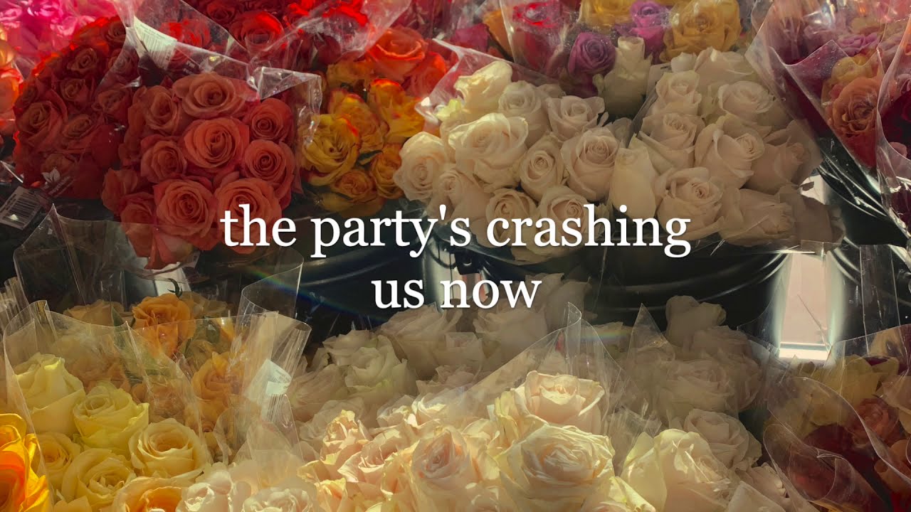 The Party's Crashing Us LYRICS of Montreal - YouTube
