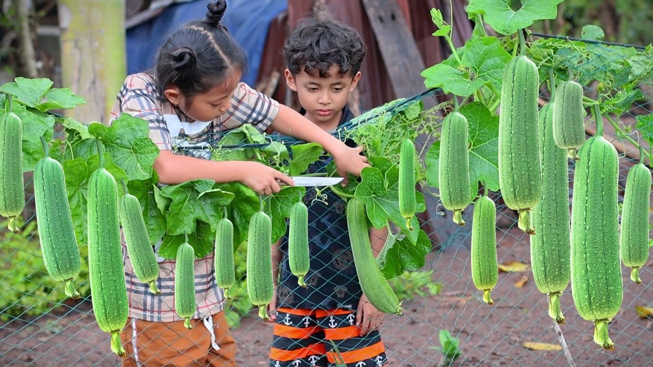 Smart girl neath cooks sponge gourds with shrimps / countryside food ...