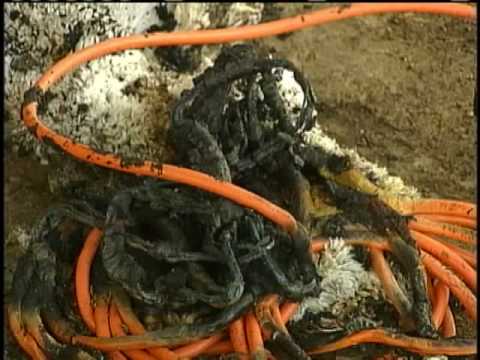 Extension Cord Blamed For Rogers Fire - YouTube
