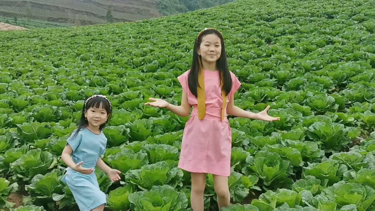 Semua Baik Cover by Sidney Loo and Adelaide Loo - YouTube Music