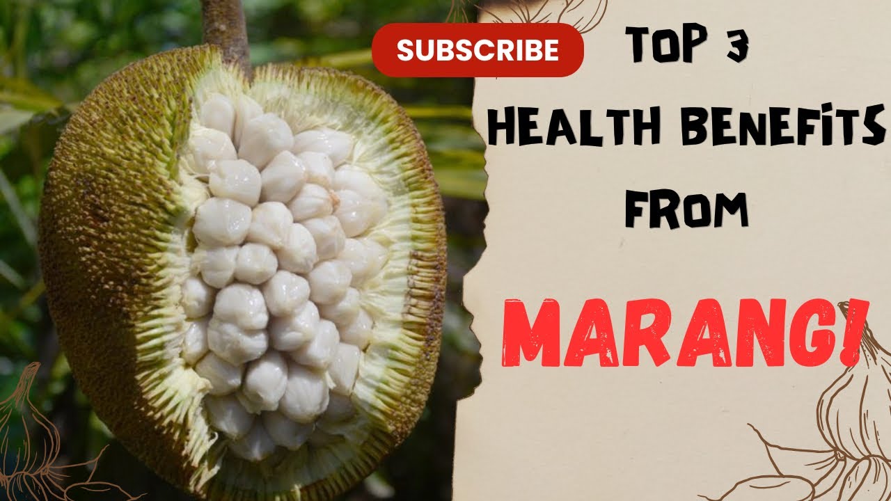 Top 3 Marang Health Benefits! - YouTube