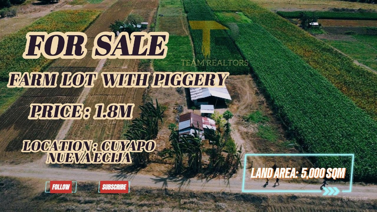(V458) 5,000 SQM FARM LOT WITH PIGGERY, ALONG FARM TO MARKET ROAD, NEAR ...