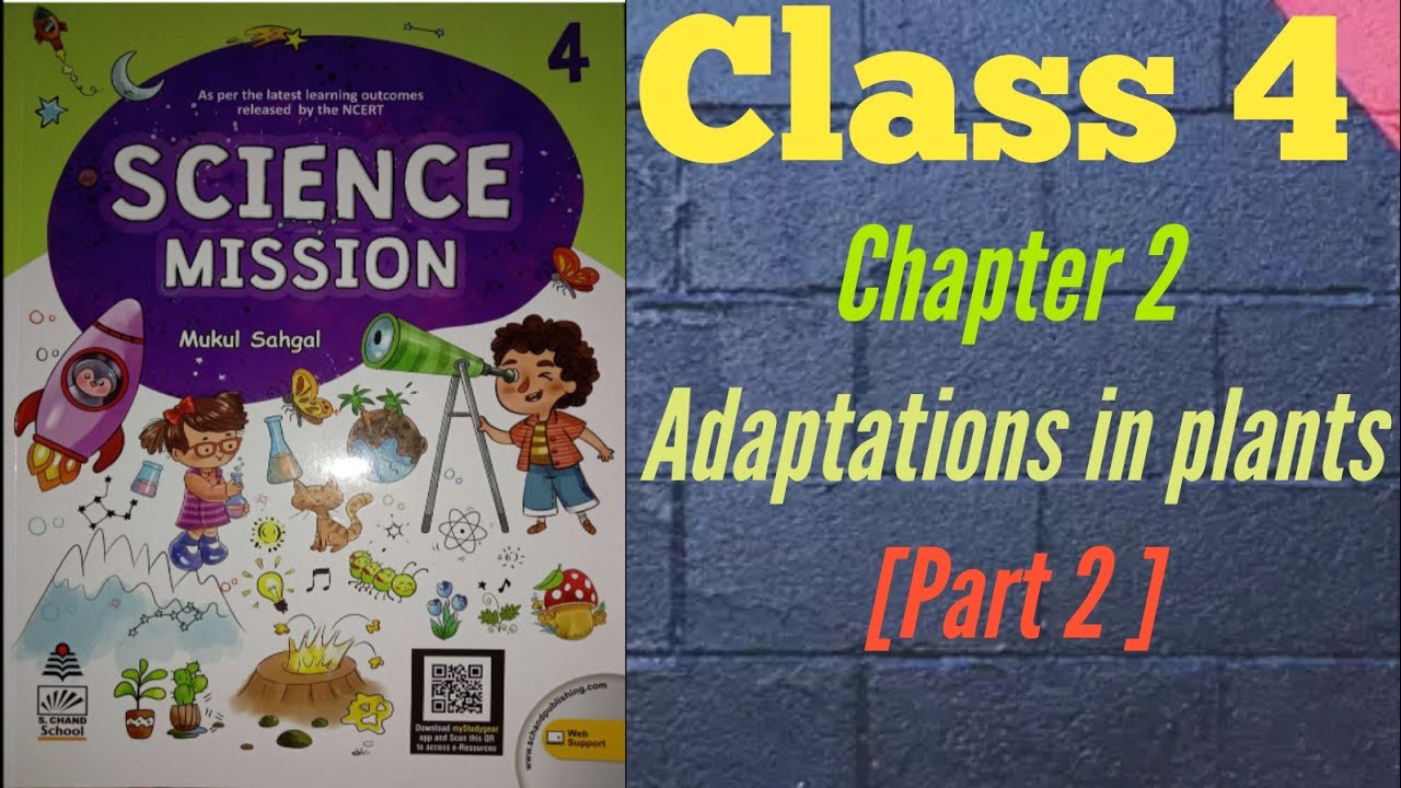 Adaptations in Plants | Part 2 | Chapter 2 | Class 4 - YouTube