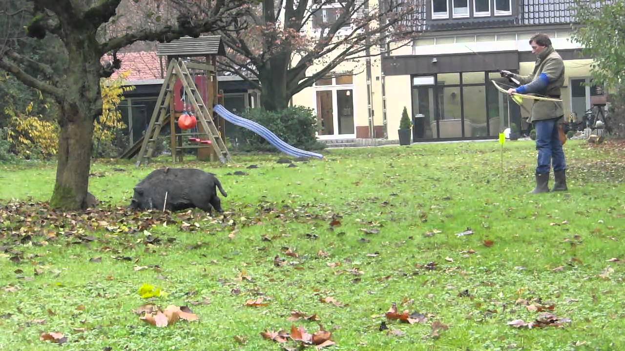 Stegmeyer Langbogen Einschießen.mp4 - YouTube