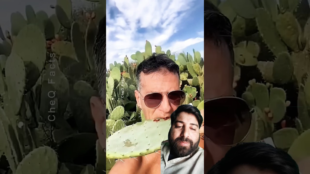 How can people eat cactus? #cactus #cactusfruit #shortvideo #shorts ...
