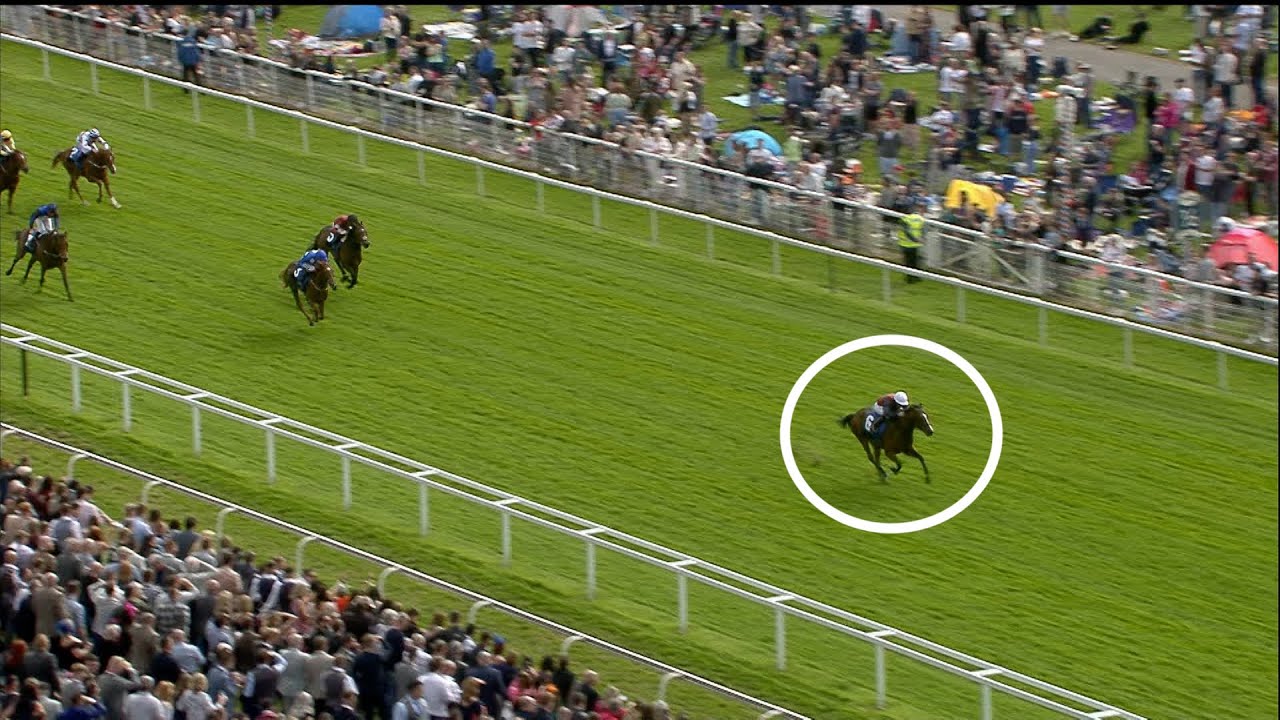 Outrageous! Horses rarely win like this on debut as BRADSELL absolutely ...