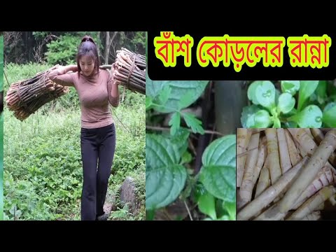 মাছ দিয়ে বাঁশ কোড়লের রান্না ll Bash korol ranna recipe ll Bamboo ...