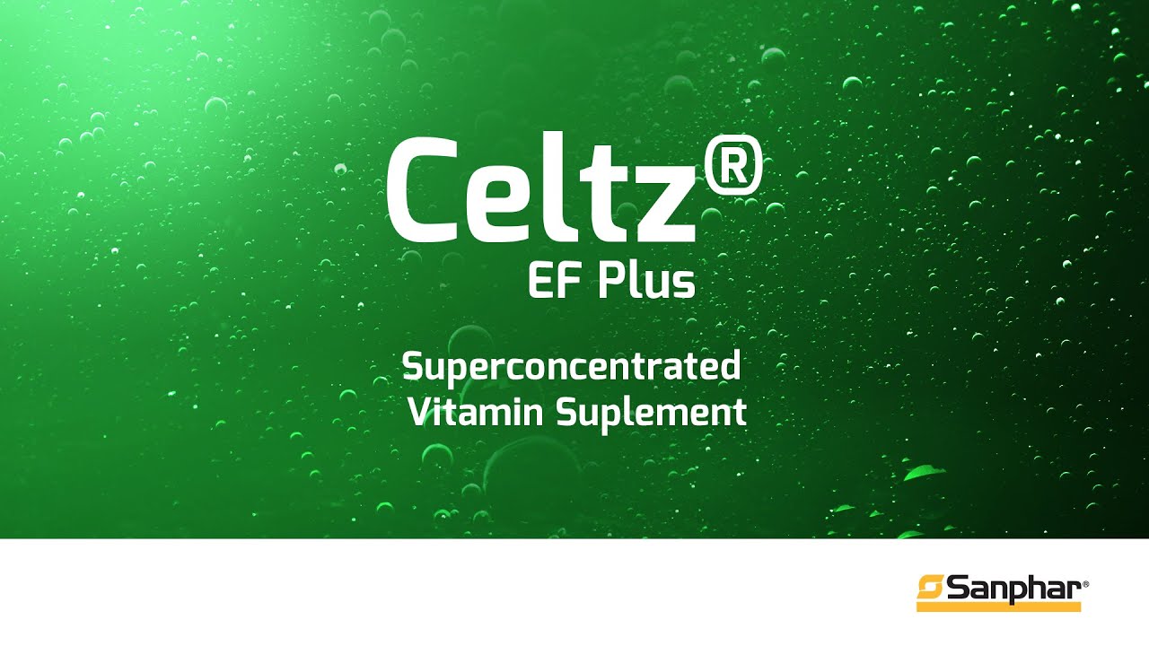 Celtz EF Plus - Superconcentrated Vitamin Suplement - YouTube
