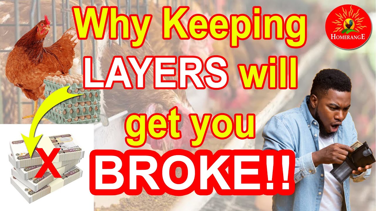 Why Keeping #Layers will get you BROKE | Cost of LAYERS Is keeping ...