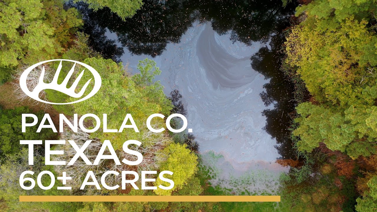 Panola County, TX 60± Acres - YouTube