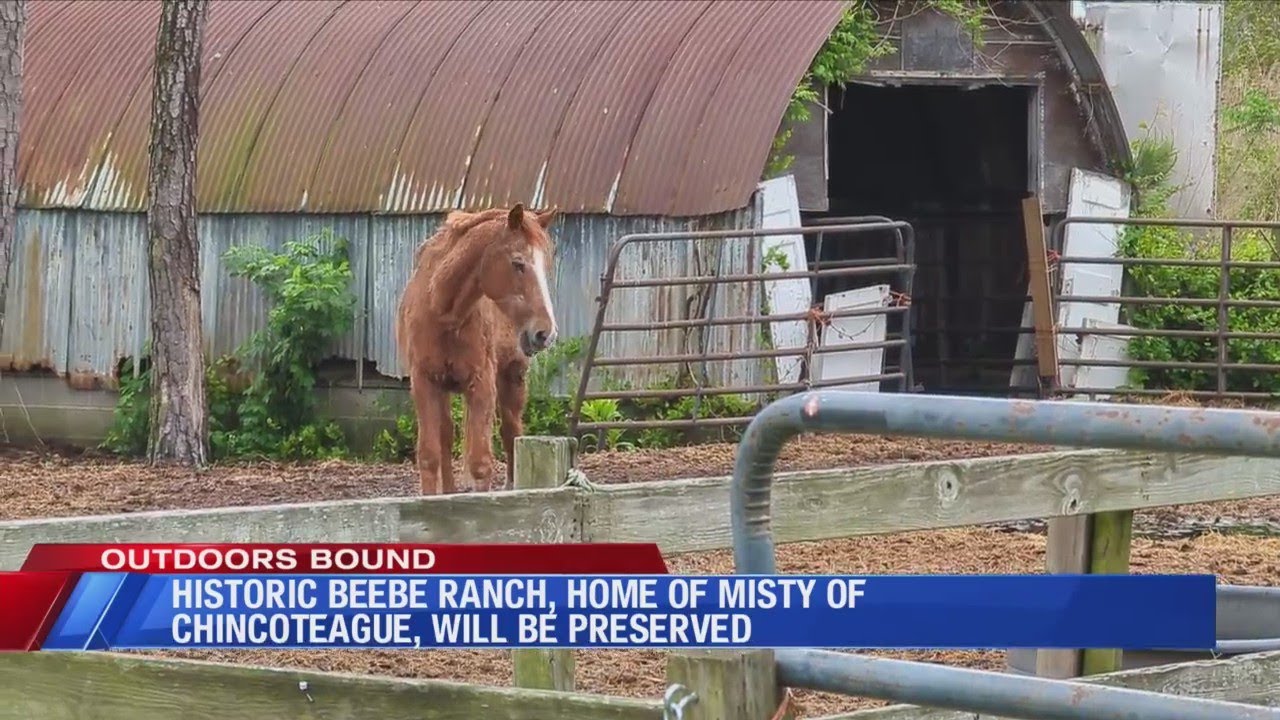 Beebe Ranch Update - YouTube