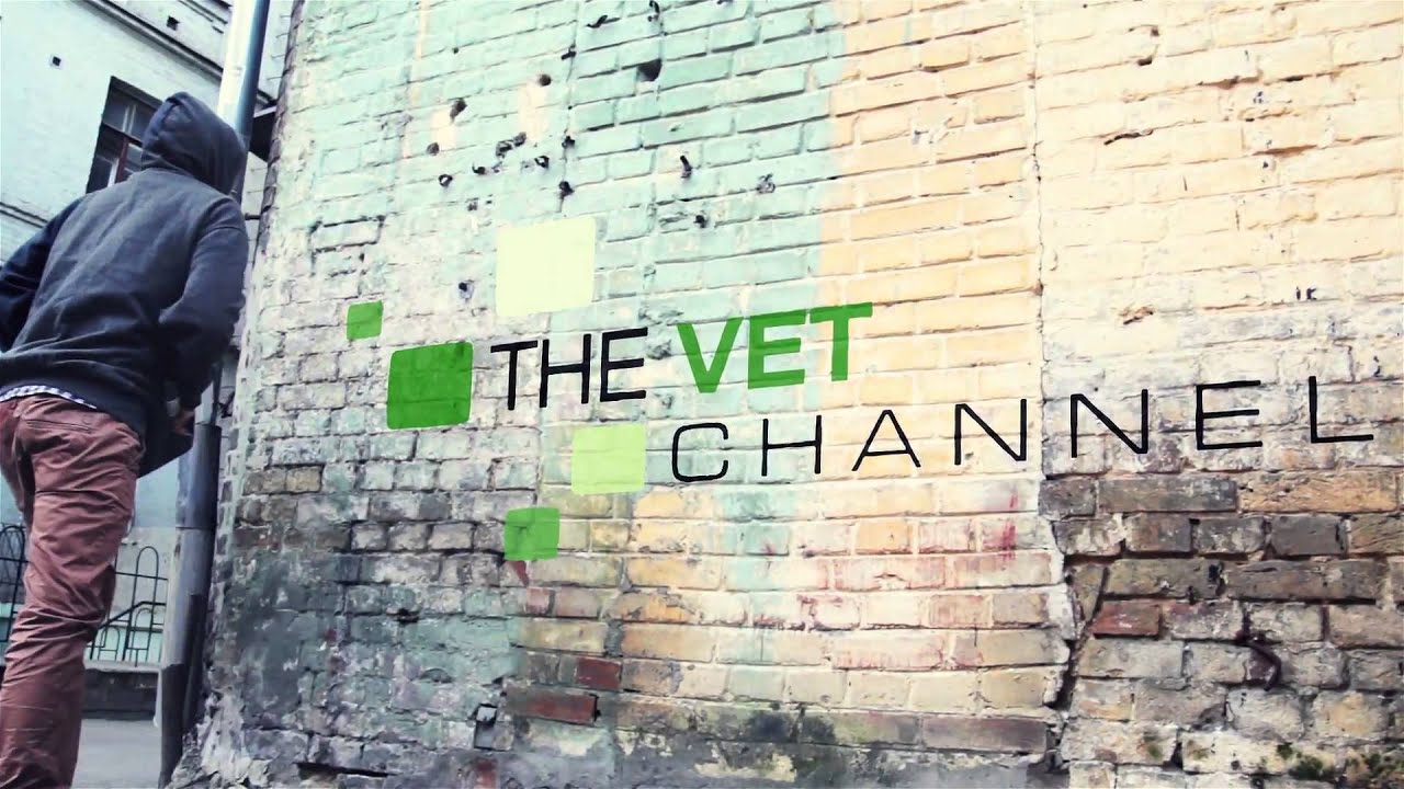 The Vet Channel - Waiting Room TV - What's on your wall? - YouTube