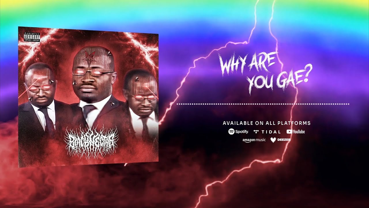 BLACKNECTAR - WHY ARE YOU GAE? [OFFICIAL VISUALIZER] (2025) SW ...