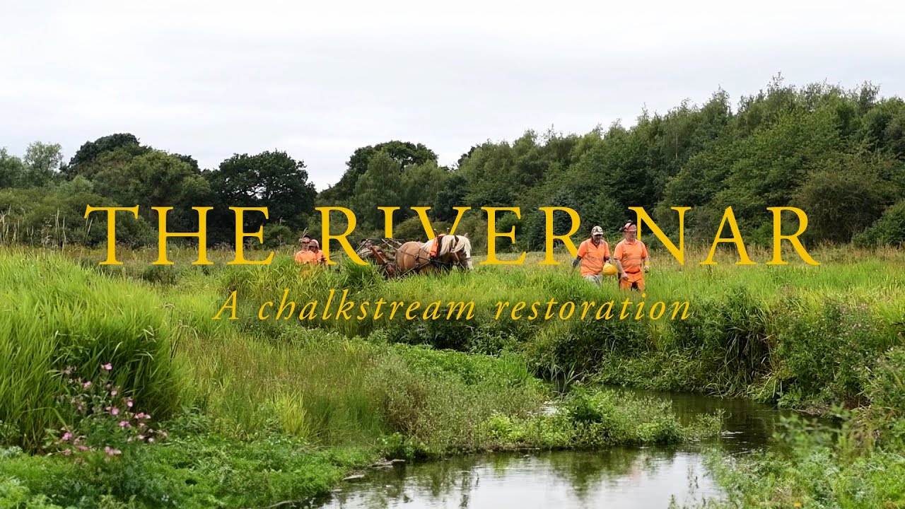 The River Nar: A chalkstream restoration | Reconnecting the river to ...