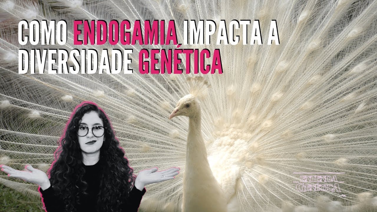 Como ENDOGAMIA, cruzamentos e consequências GENÉTICAS te ajudam a ...