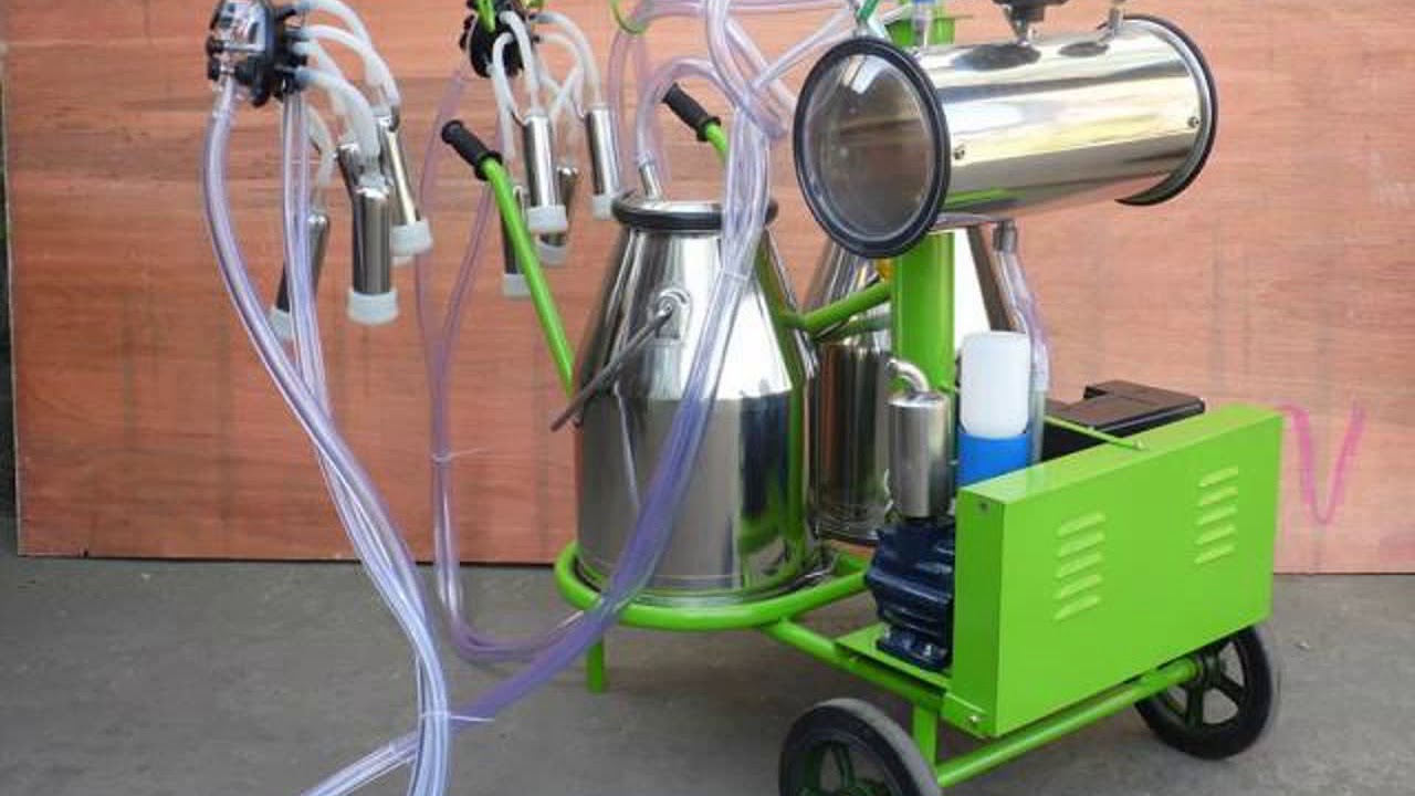 0813-1752-6565 Mesin Perah Susu Sapi, Alat Perah Kambing Portable ...