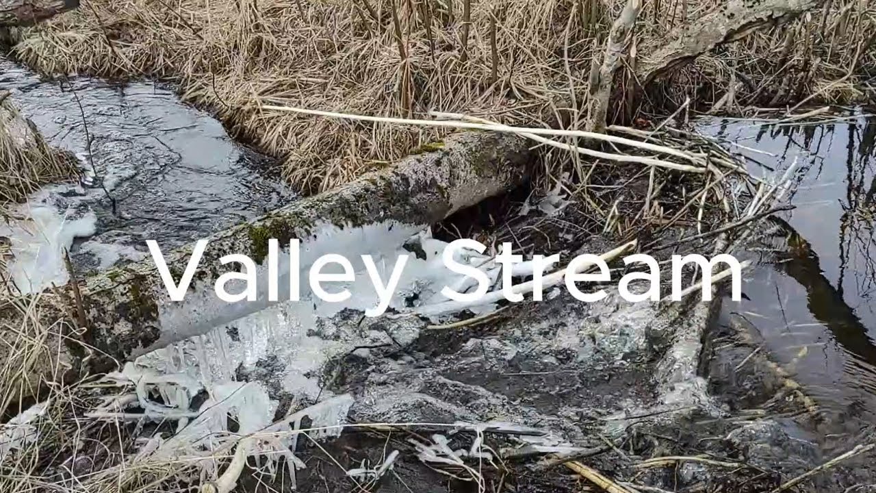 Valley Stream ASMR for Deep Sleep | Tranquil Water Sounds - YouTube
