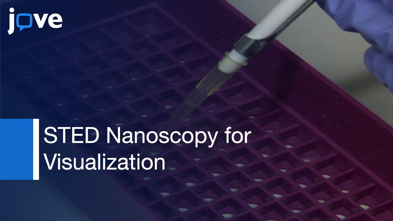 STED Nanoscopy for Visualizing Immunological Synapse - YouTube