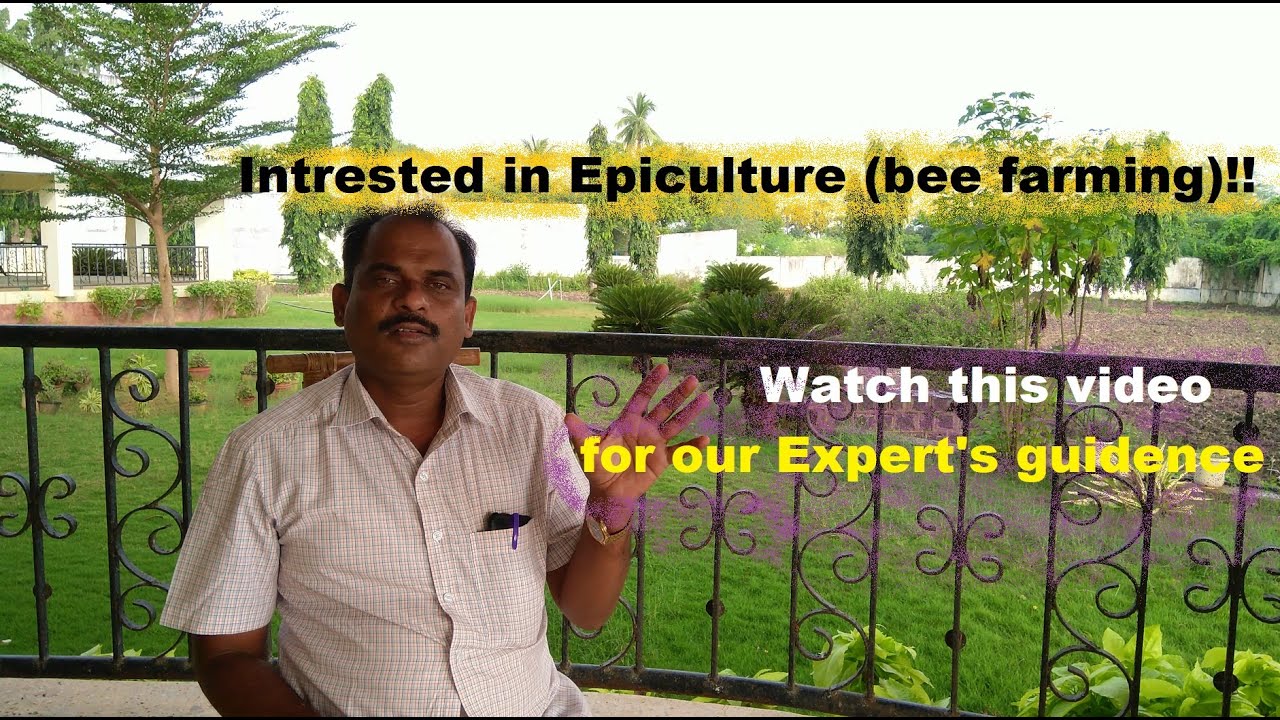 Apiculture Beekeeping Tutorial 2 ||Detailed Explanation of Brood Sheet ...