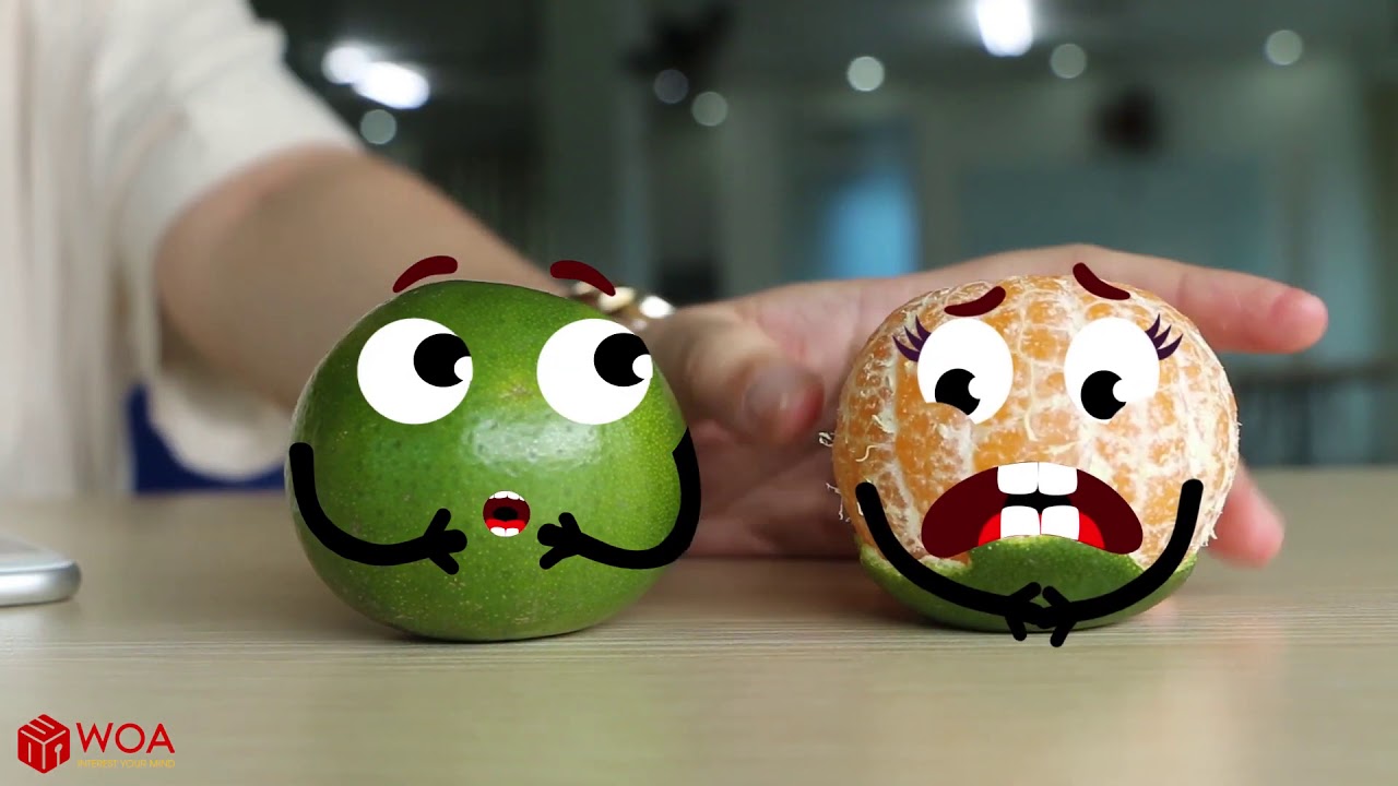 NARANJAS PICARAS Y TRAVIESAS. VIDEOS GRACIOSOS. LA VIDA SECRETA DE LAS ...