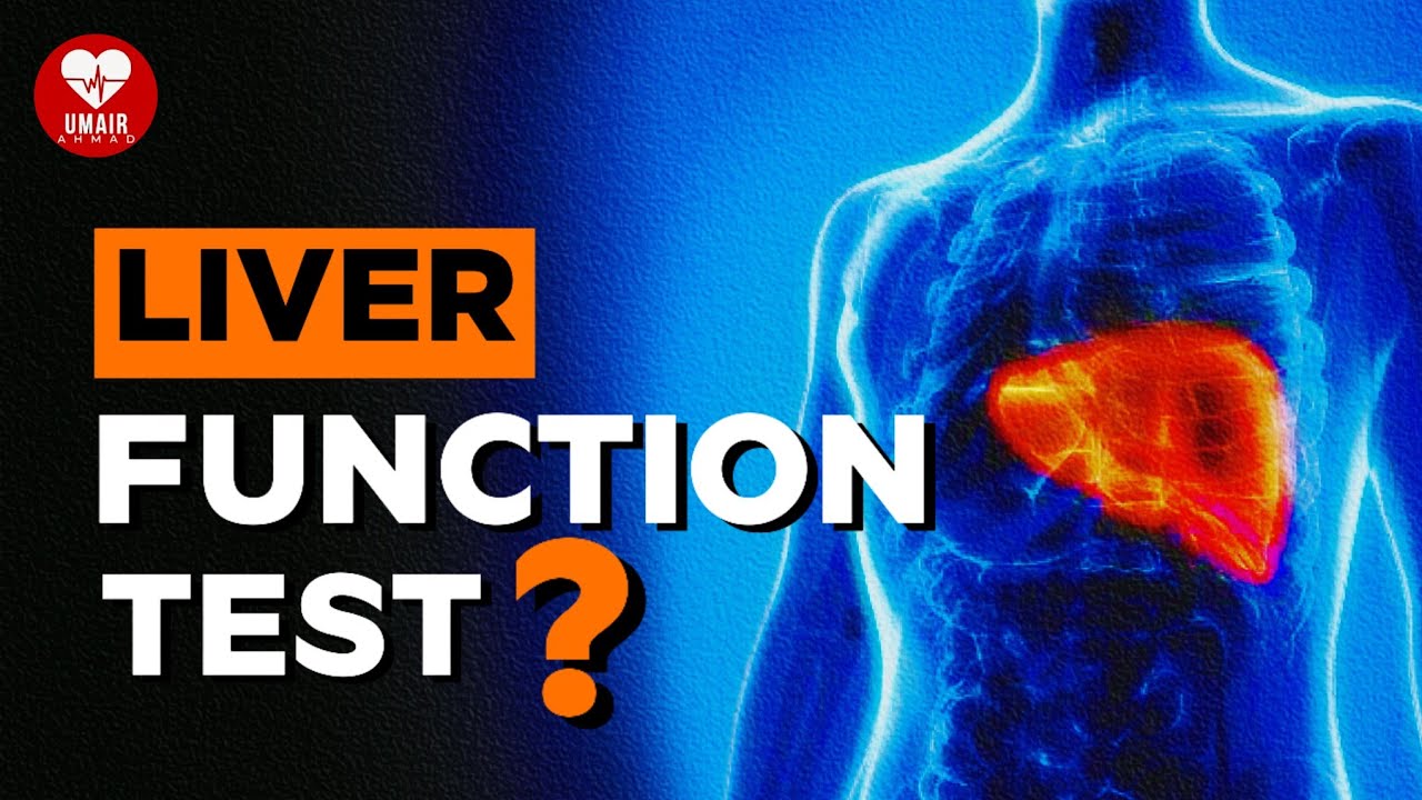 Liver Function Test (LFT’s) | Liver Function Interpretations | Hepatic ...