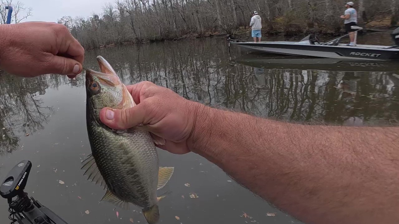 Fishing Local Tchefuncte River - YouTube