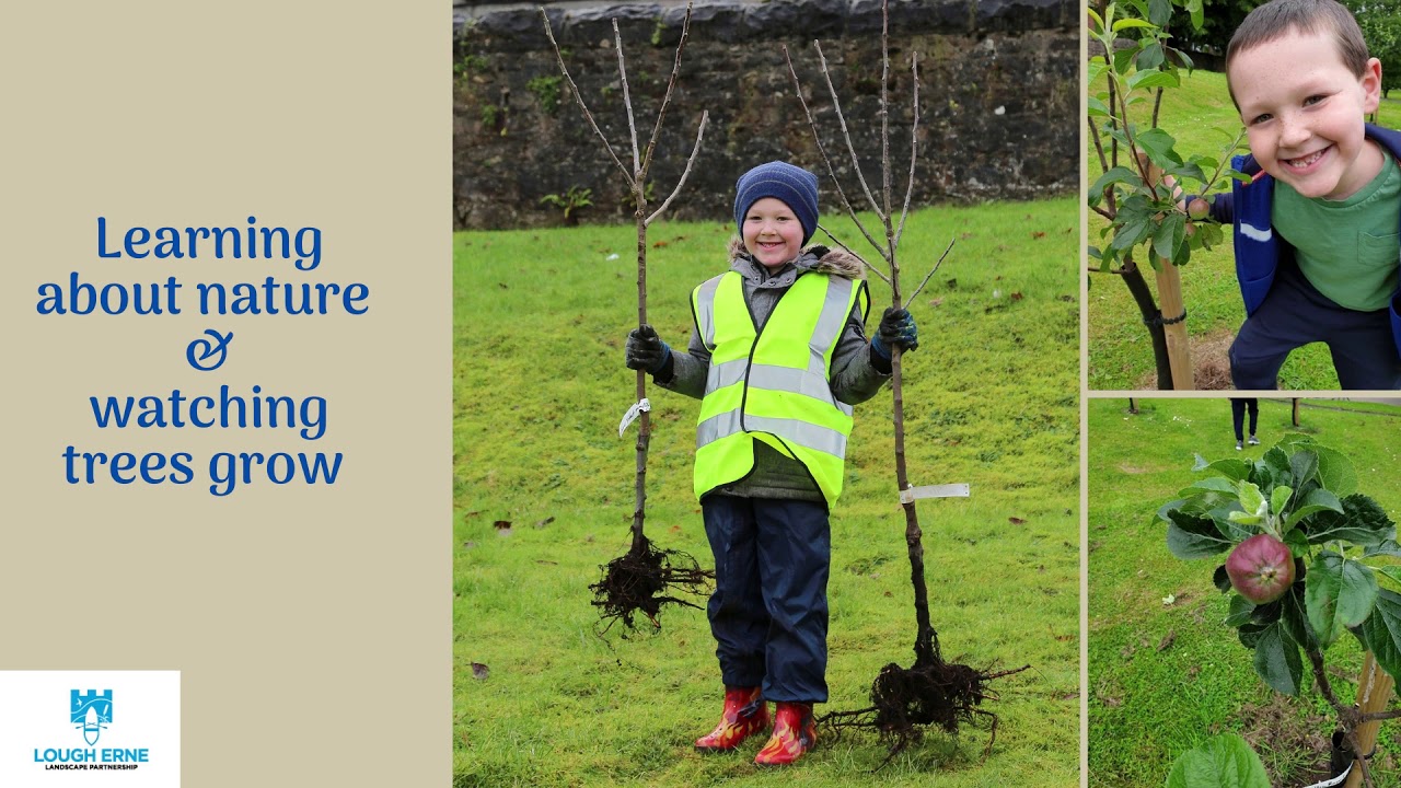 National Tree Week Celebration 2020 - YouTube