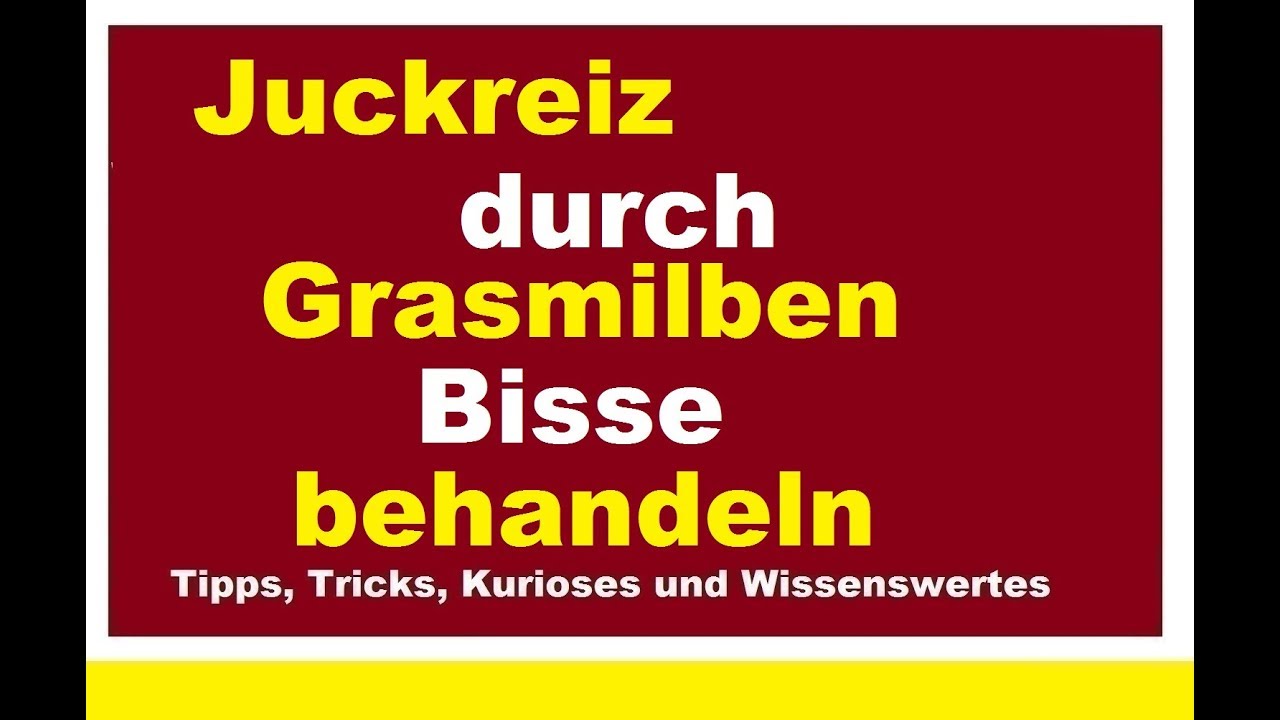 Juckreiz bei Bissen von Grasmilben behandeln Herbstgrasmilben ...