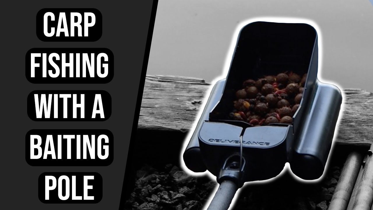 Catching Carp with a Baiting Pole - Cefn Mably - Lodge Lake - YouTube