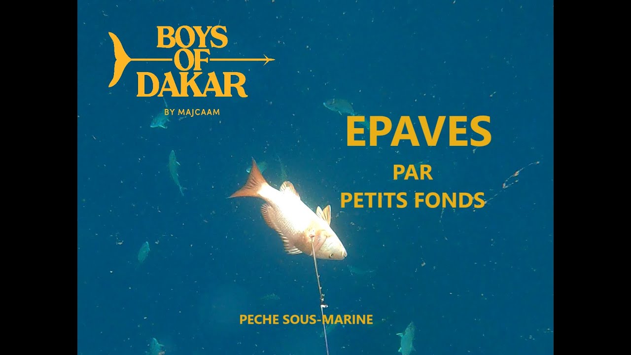 🥈PECHE SOUS MARINE - PECHE EN EPAVE PAR PETITS FONDS - MAJCAAM - BOYS ...
