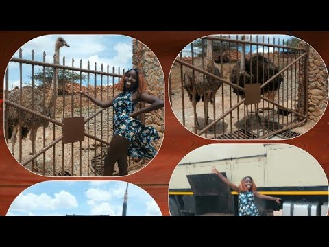 Event Pre -visit in Bunduz Camp 😍@bunduz@bunduzcamp|Hidden gem 💎 - YouTube