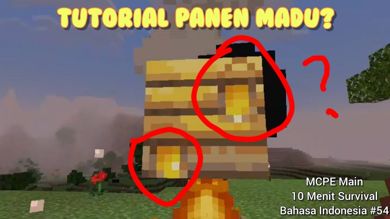 GUNAKAN INI, BEBAS PANEN MADU | MCPE Main 10 Menit Survival Minecraft ...