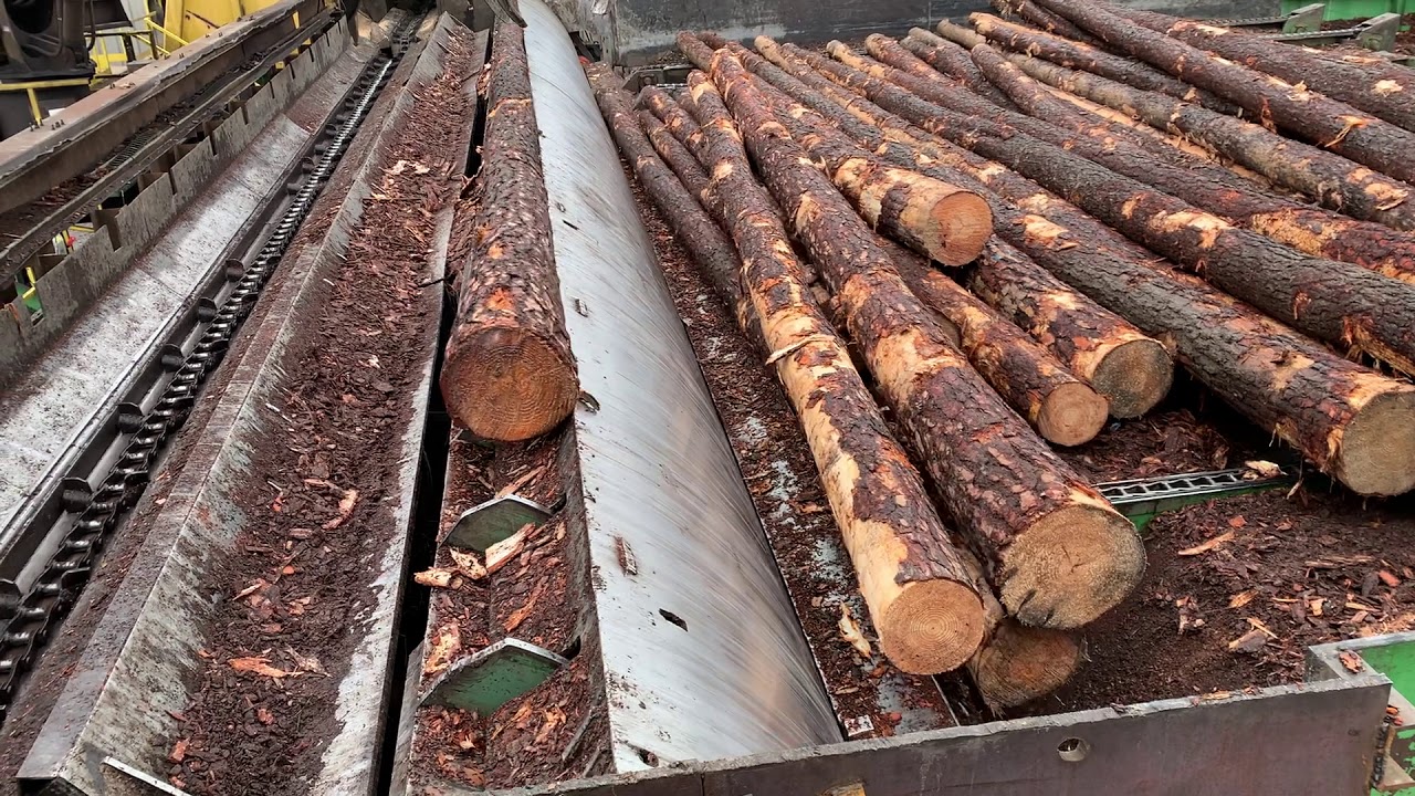 Linden Quadrant Stem Feeder - YouTube