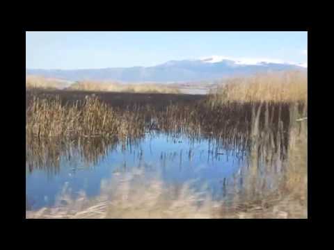 ΦΩΤΙΕΣ ΣΤΗ ΛΙΜΝΗ ΠΕΤΡΩΝ (22.2.2017) - YouTube