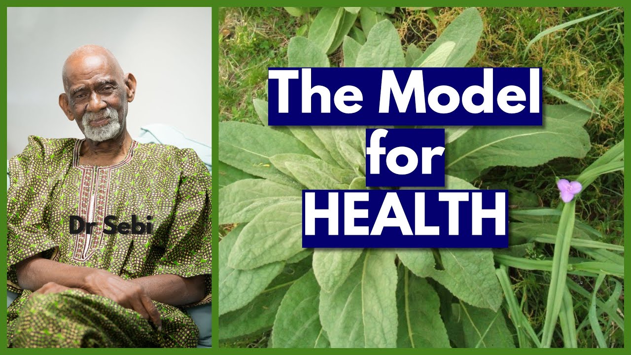 DR SEBI - WHAT IS A GOOD MODEL OF LIFE & HEALTH? #drsebi - YouTube