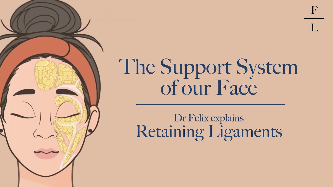 The support system of our face | DrFL explains Retaining Ligaments ...