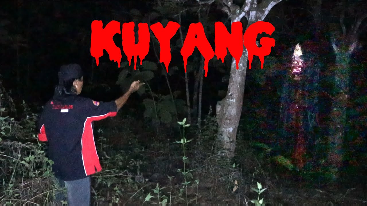 KUYANG KUDUANG PEMAKAN OROK - YouTube