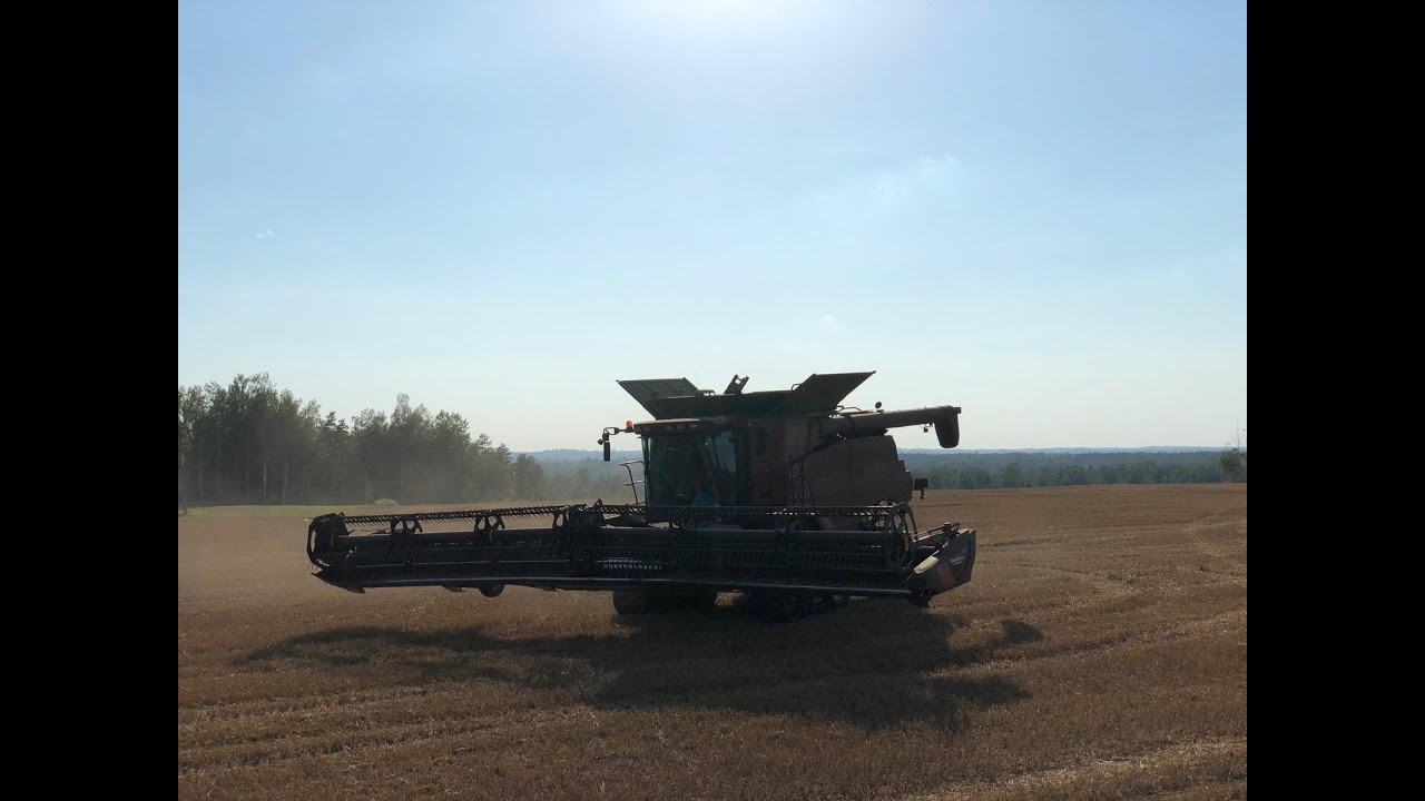 MacDon FD 140 draper header harvesting heavy lodged winter wheat ...
