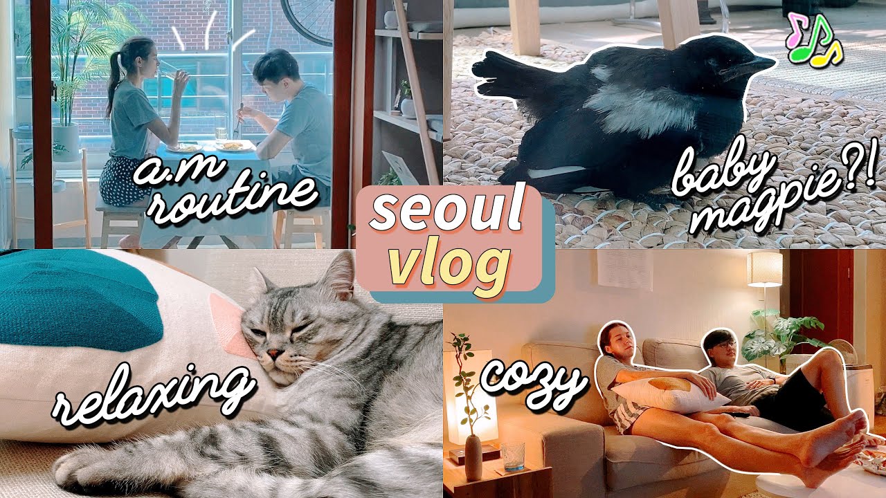 DINK Diaries | A Day Off in Our Life in Seoul, Korea | Saving a Baby ...