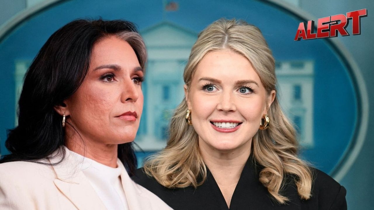 White House Says Gabbard Probe Aims to Protect Elections From Foreign ...