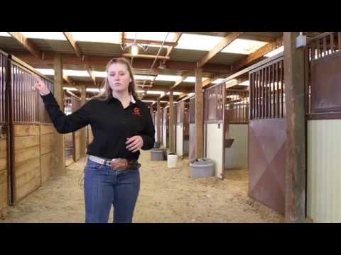 CWC Equine Center Tour - YouTube