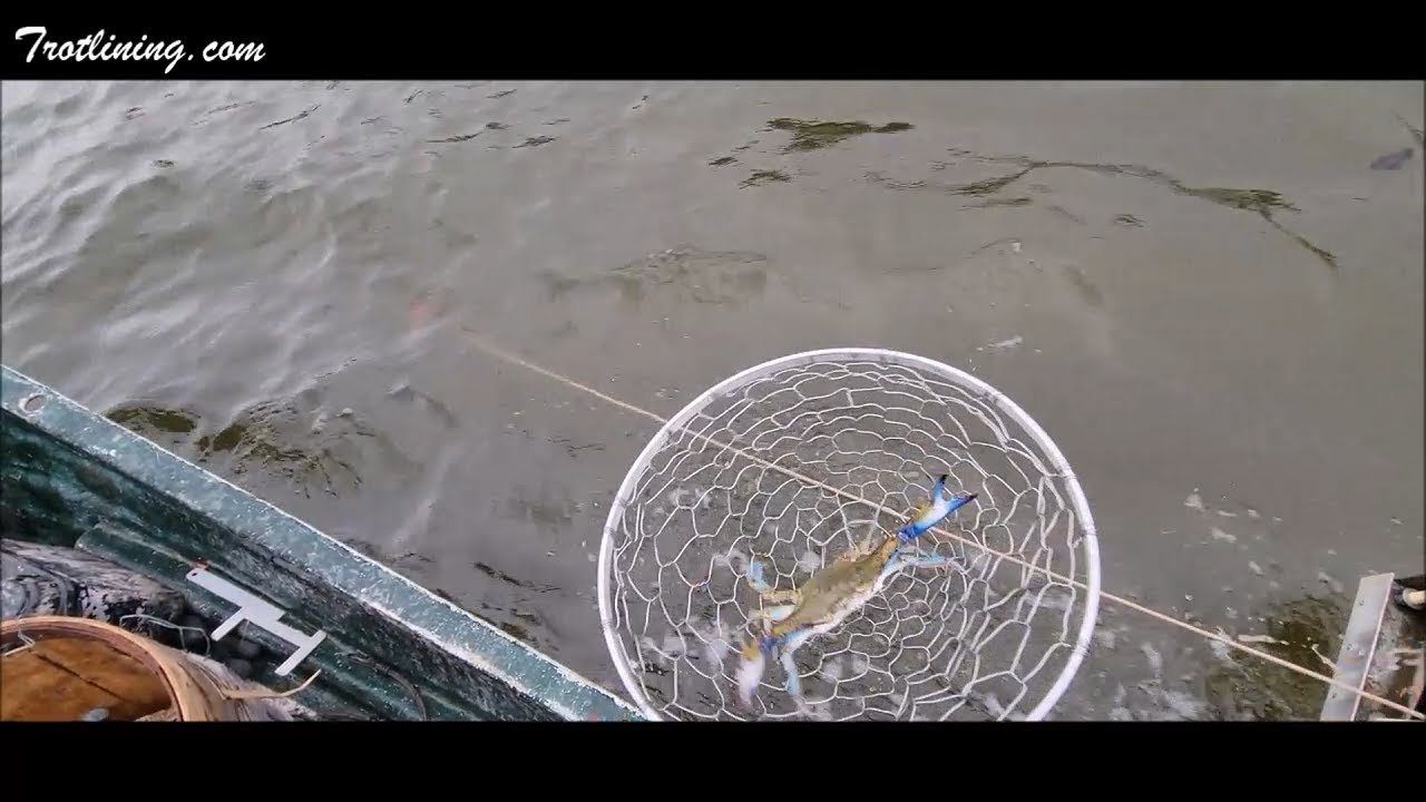 Thunder Storm Trotline Crabbing - YouTube